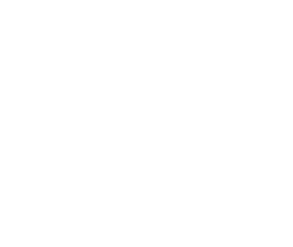 ReadyWire